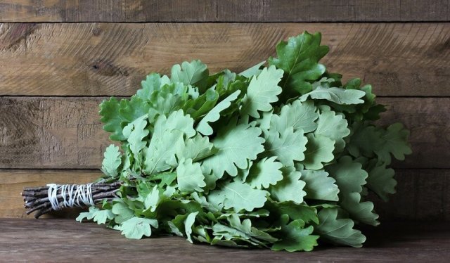 Веники для бани: 10 самых полезных вариантов